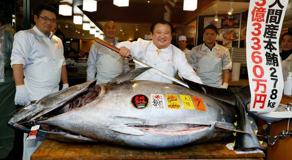 Most expensive sashimi: A bluefin tuna has been sold for a record ...