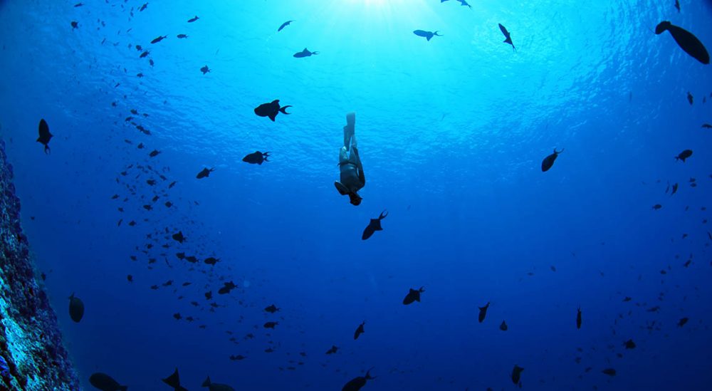 Record-breaking expeditions: These explorers are redefining extreme ...