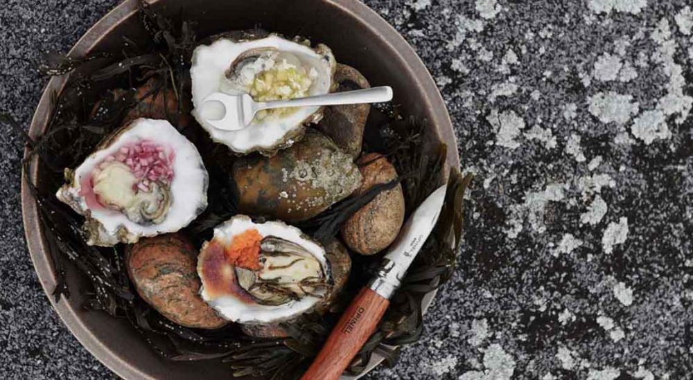 What to do in Denmark: Forage for oysters and other shellfish with ...