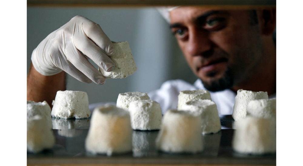 Most expensive cheese in the world: Pule, a Serbian donkey-goat cheese ...