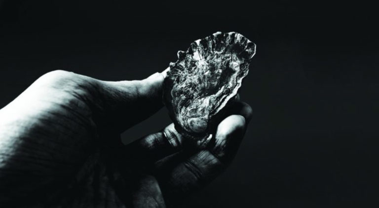 Oyster sommelier Mark Allsopp: "Like any muscle, the harder it works ...